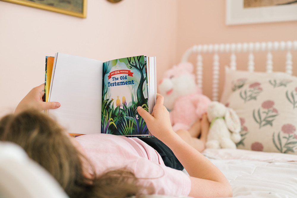 God’s Big Promises Bible Storybook - Carl Laferton, Jennifer Davison ...