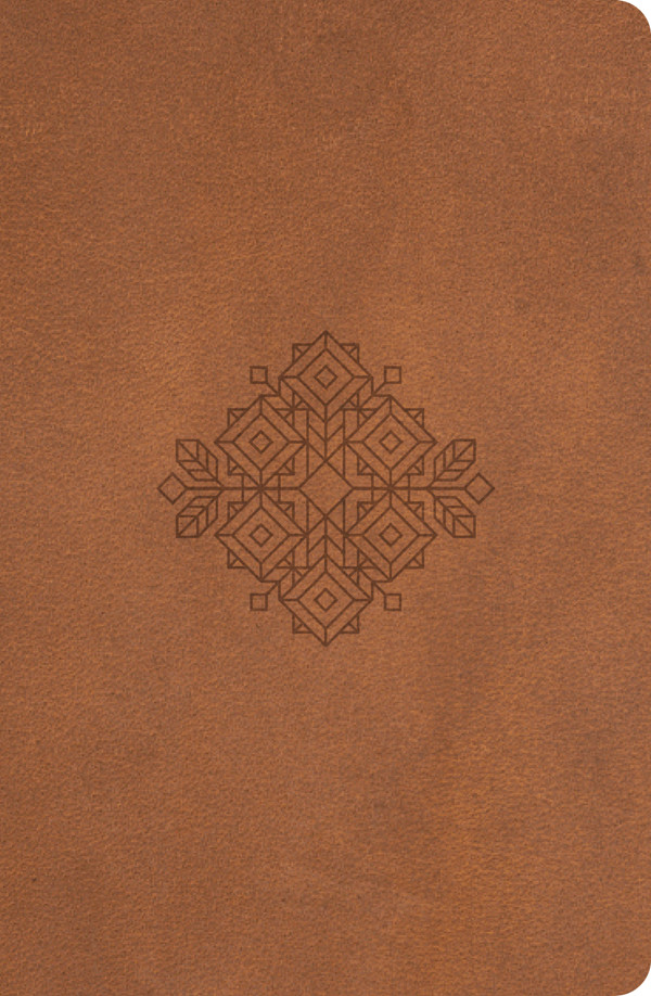 Truth For Life - Gift Edition (Volume 1) - Alistair Begg | The Good ...